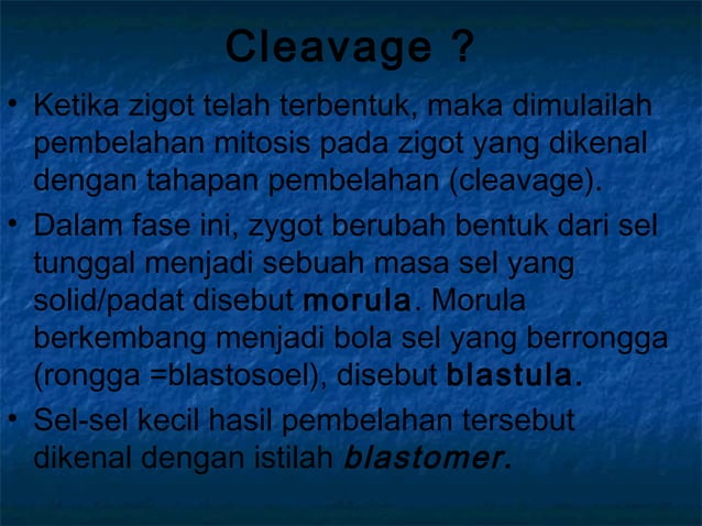 Perkembangan Embrio | PPT