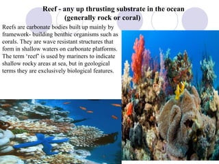 Reefs ...... | PPT