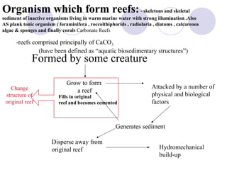 Reefs ...... | PPT