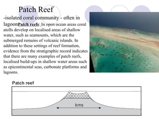 Fringing Reef Diagram