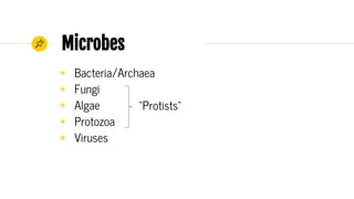 Introduction to Microbiology | PDF | Biological Sciences | Science