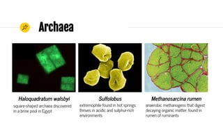 Introduction to Microbiology | PDF | Biological Sciences | Science