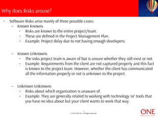 Software risk analysis and management | PPTX