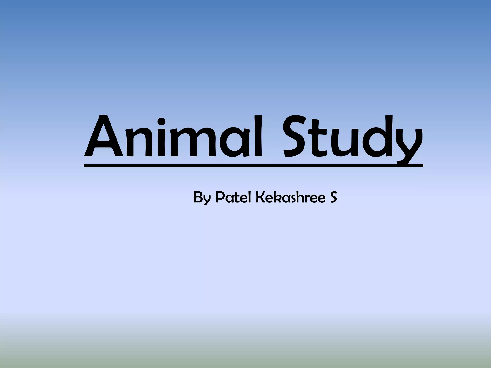 study of animal (subject: elective-B.arch sem 3rd) | PPT