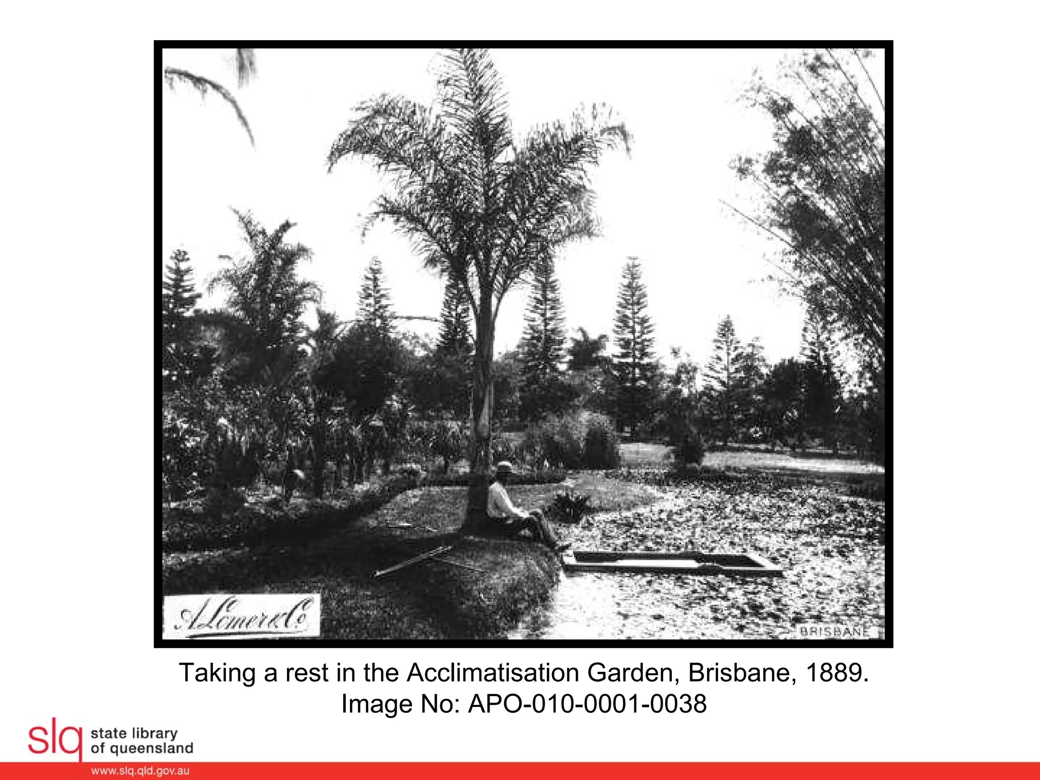 Acclimatisation Society of Queensland | PPT