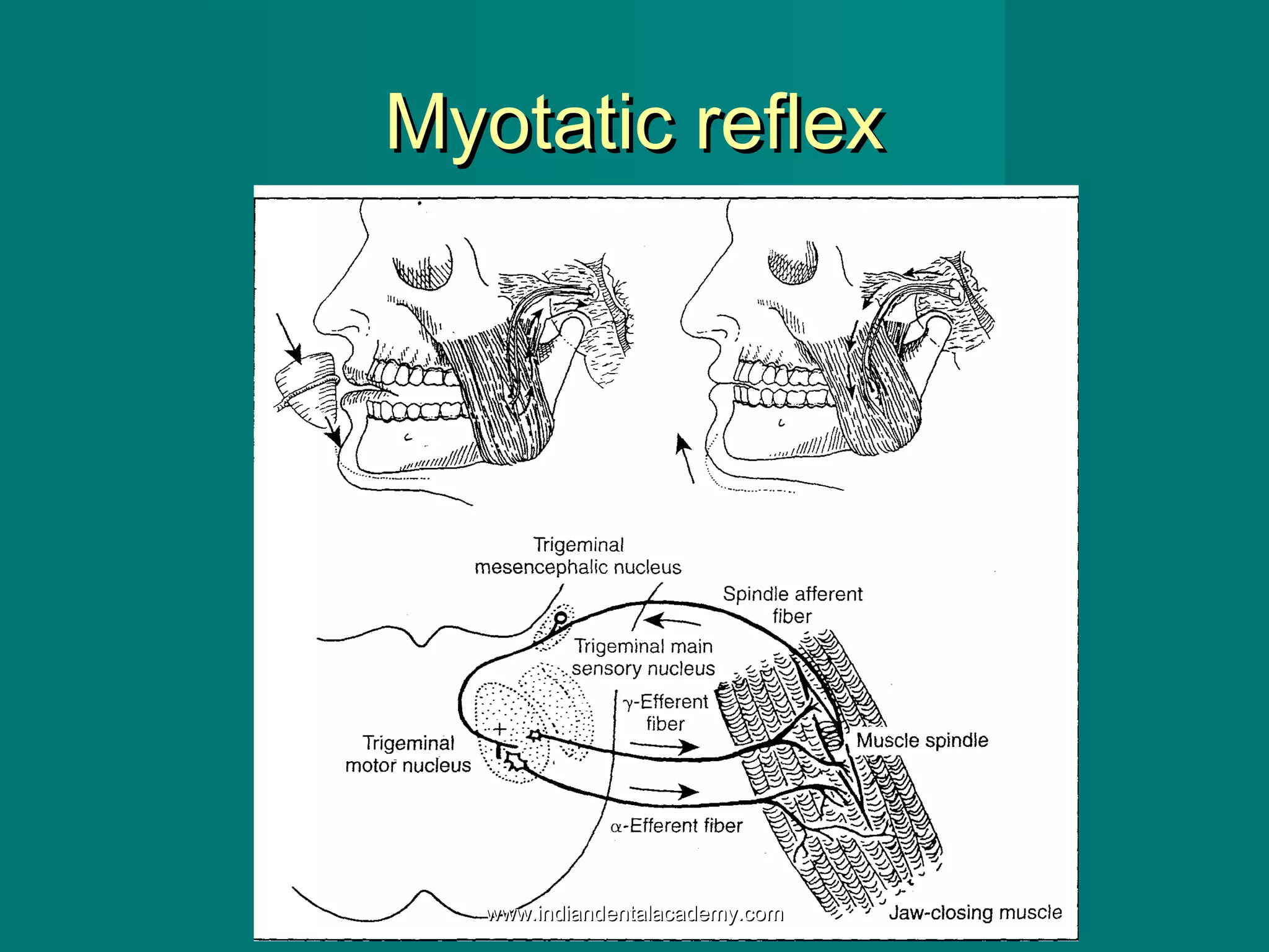 Modification of activator | PPT