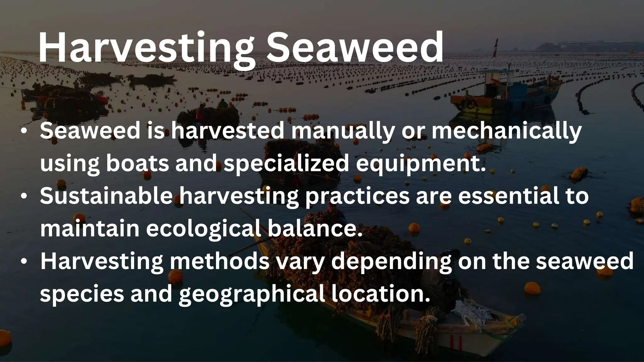 Copy of Agar Extraction Method from Seaweed_20240414_120731_0000.pptx