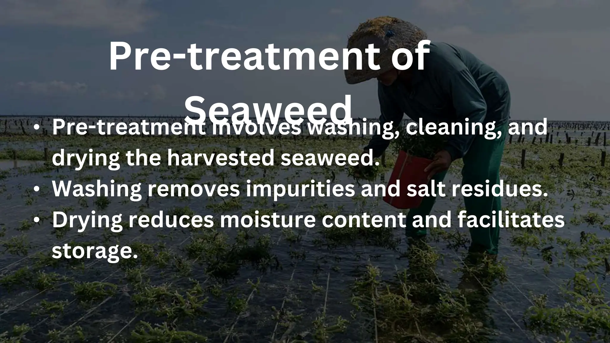 Copy of Agar Extraction Method from Seaweed_20240414_120731_0000.pptx