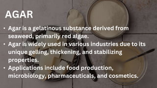 Copy of Agar Extraction Method from Seaweed_20240414_120731_0000.pptx