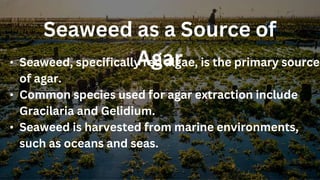 Copy of Agar Extraction Method from Seaweed_20240414_120731_0000.pptx