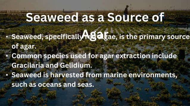 Copy of Agar Extraction Method from Seaweed_20240414_120731_0000.pptx