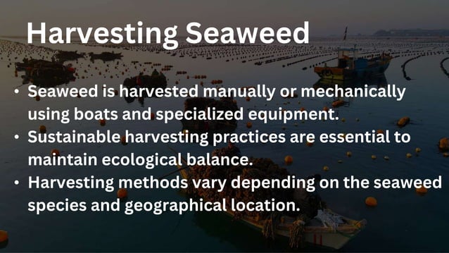 Copy of Agar Extraction Method from Seaweed_20240414_120731_0000.pptx