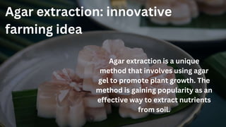 Copy of Agar Extraction Method from Seaweed_20240414_120731_0000.pptx