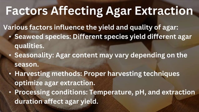 Copy of Agar Extraction Method from Seaweed_20240414_120731_0000.pptx