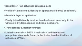 Anatomy and Development of Cornea 1 (1).ppt