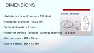 Anatomy and Development of Cornea 1 (1).ppt