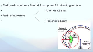 Anatomy and Development of Cornea 1 (1).ppt
