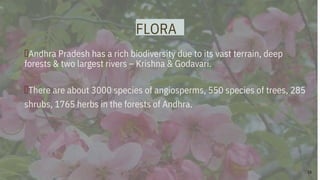 Copy of Andhra Pradesh Presentation_20240424_075507_0000.pdf