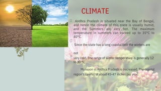 Copy of Andhra Pradesh Presentation_20240424_075507_0000.pdf