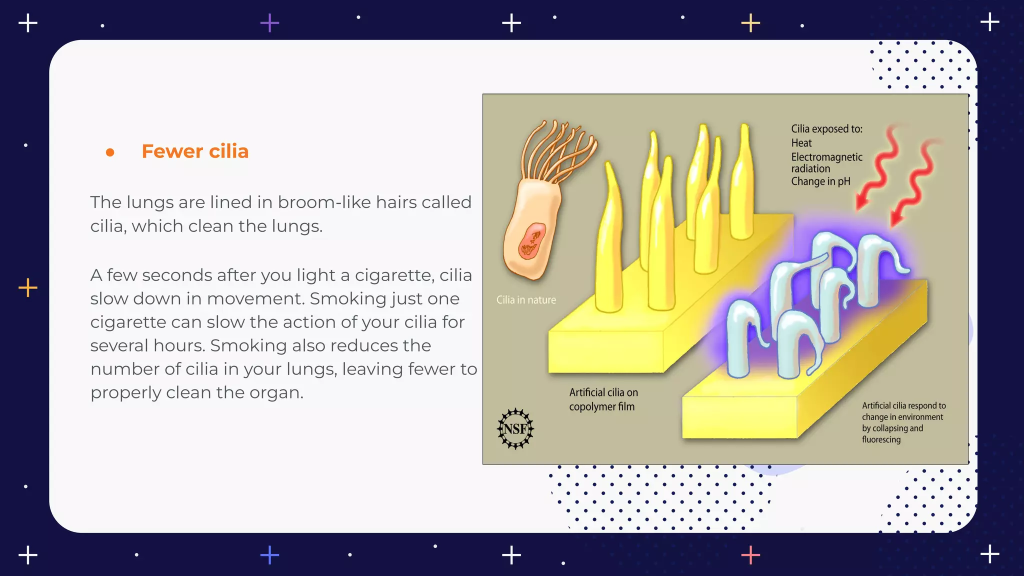 Smoking and Lung Cancer | PDF