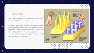 Smoking and Lung Cancer | PDF