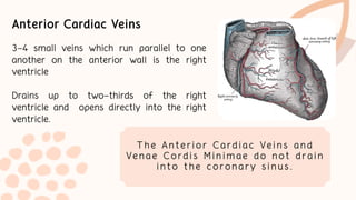 Venous Return and Lymphatic Drainage of Heart by Parth Ipper, TNMC .pptx