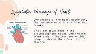 Venous Return and Lymphatic Drainage of Heart by Parth Ipper, TNMC .pptx