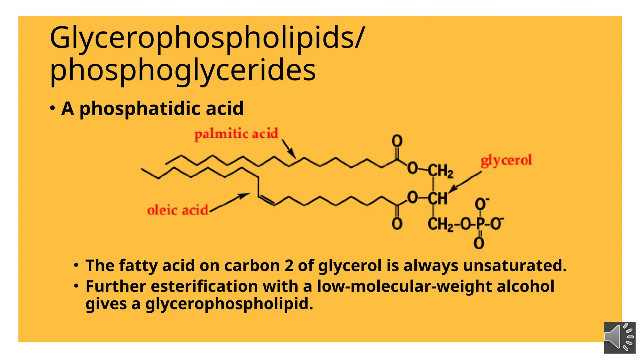 Copy of Biochem_LIPIDS.pptx school topic BIOCHEMISTRY. LIPIDS ...