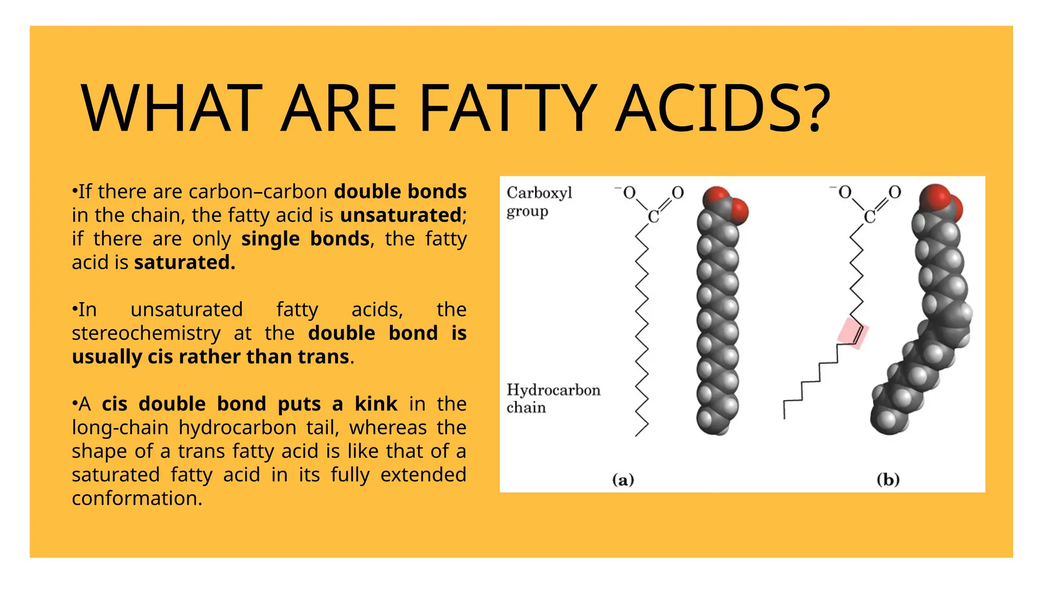 Copy of Biochem_LIPIDS.pptx school topic BIOCHEMISTRY. LIPIDS ...
