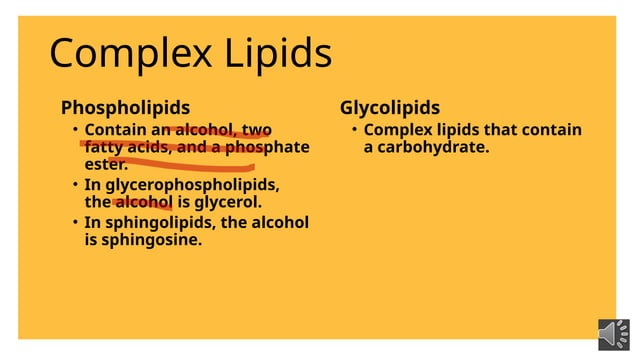 Copy of Biochem_LIPIDS.pptx school topic BIOCHEMISTRY. LIPIDS ...