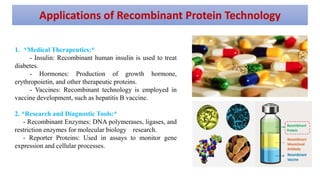 Recombinant Protein Technology in laboratory .pptx