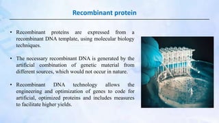 Recombinant Protein Technology in laboratory .pptx