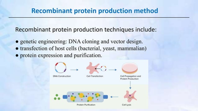 Recombinant Protein Technology in laboratory .pptx