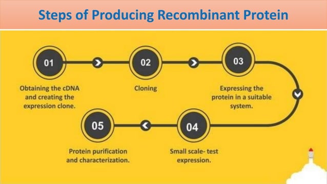 Recombinant Protein Technology in laboratory .pptx
