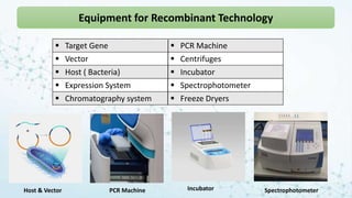 Recombinant Protein Technology in laboratory .pptx