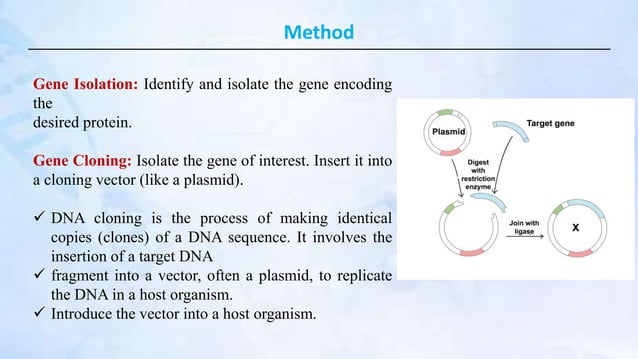 Recombinant Protein Technology in laboratory .pptx