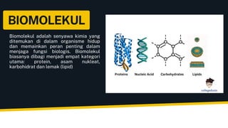 BIOMOLEKUL DAN KEANEKARAGAMAN MAKHLUK HIDUP | PDF