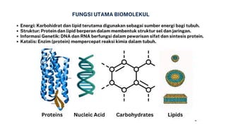BIOMOLEKUL DAN KEANEKARAGAMAN MAKHLUK HIDUP | PPT
