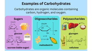 BIOMOLEKUL DAN KEANEKARAGAMAN MAKHLUK HIDUP | PPT