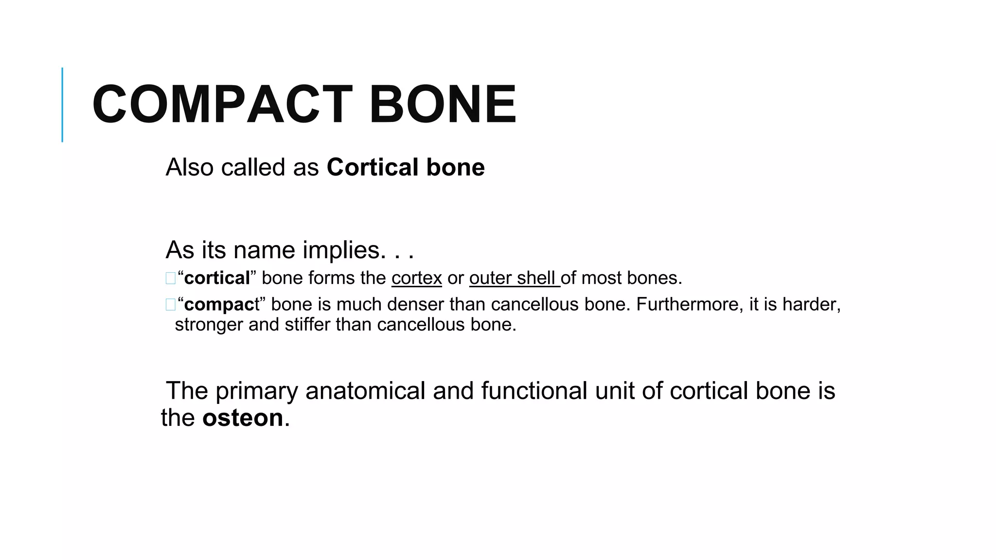 Bone | PPTX