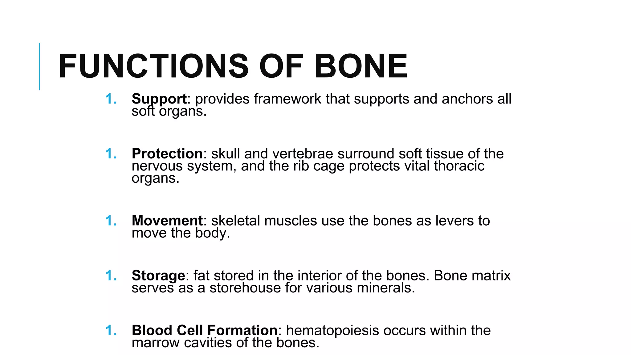 Bone | PPTX