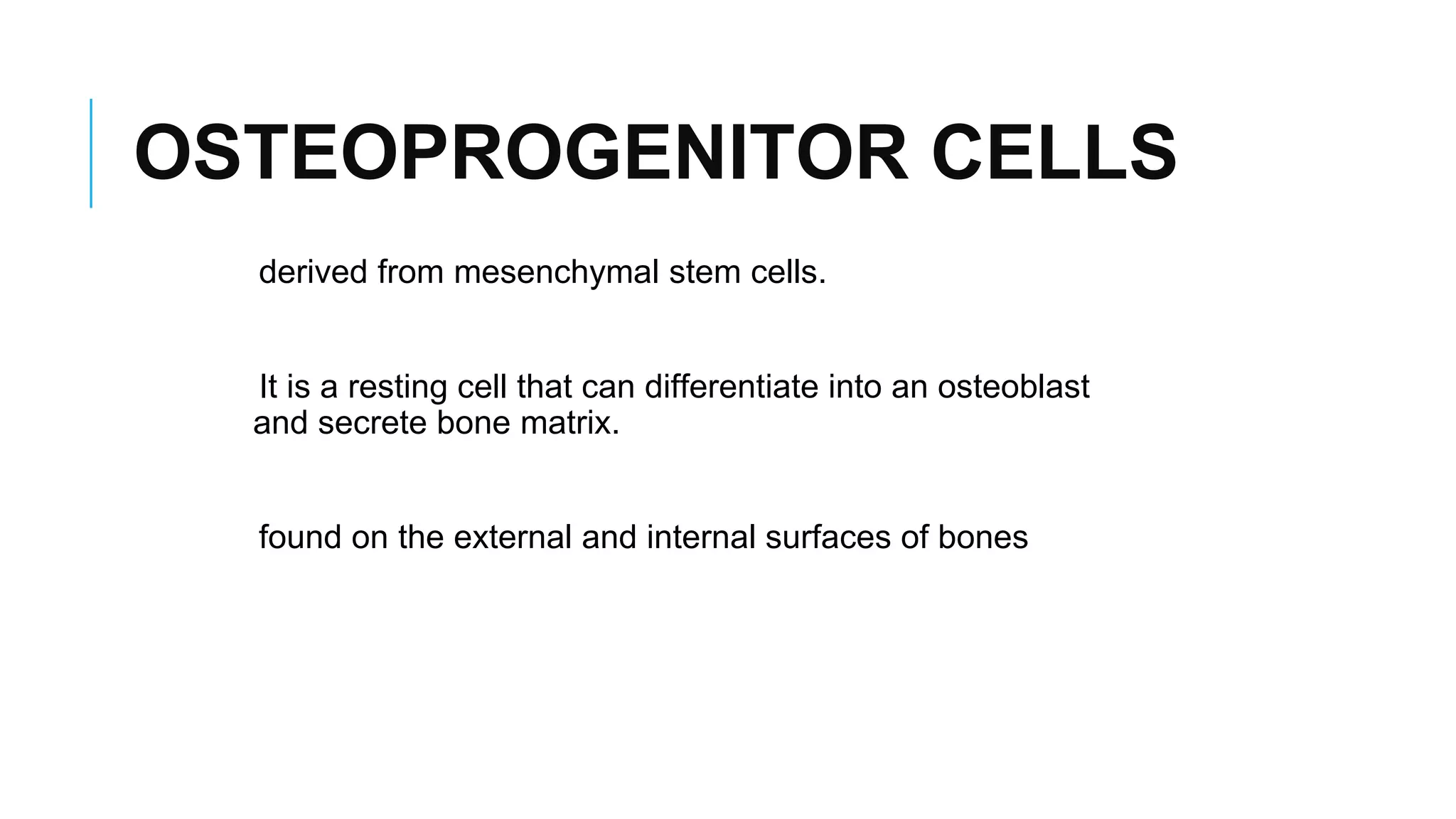 Bone | PPTX