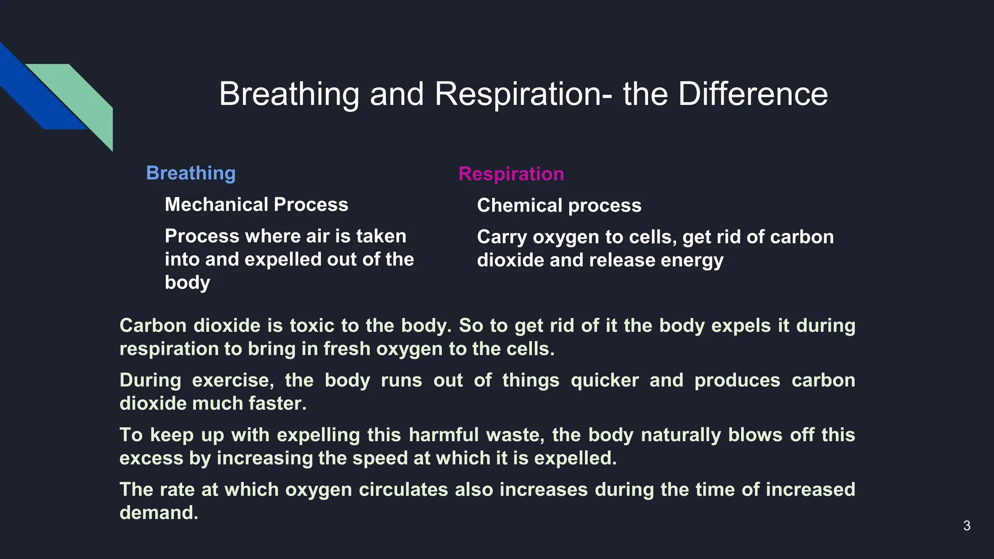 Copy of Breathing and Respiration (1).pptx