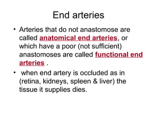 Copy of cardio vascular system | PPT | Heart and Cardiovascular ...
