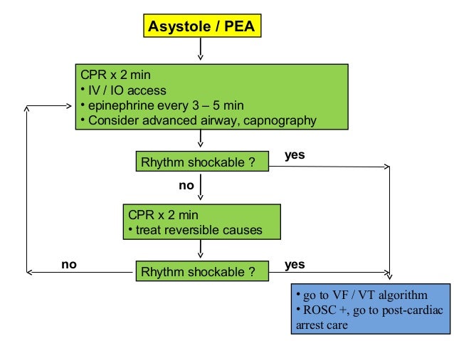 cardiopulmonary resuscitation for students