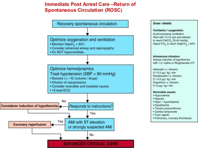 cardiopulmonary resuscitation for students