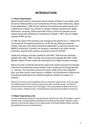 Case study of Nebico Pvt Ltd | PDF