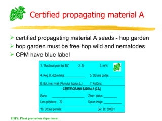 Copy of certification hop plants 7.4.06 | Gardening | Home & Garden