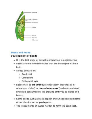 ch. 2 sexual reproduction in flowering plants | PDF