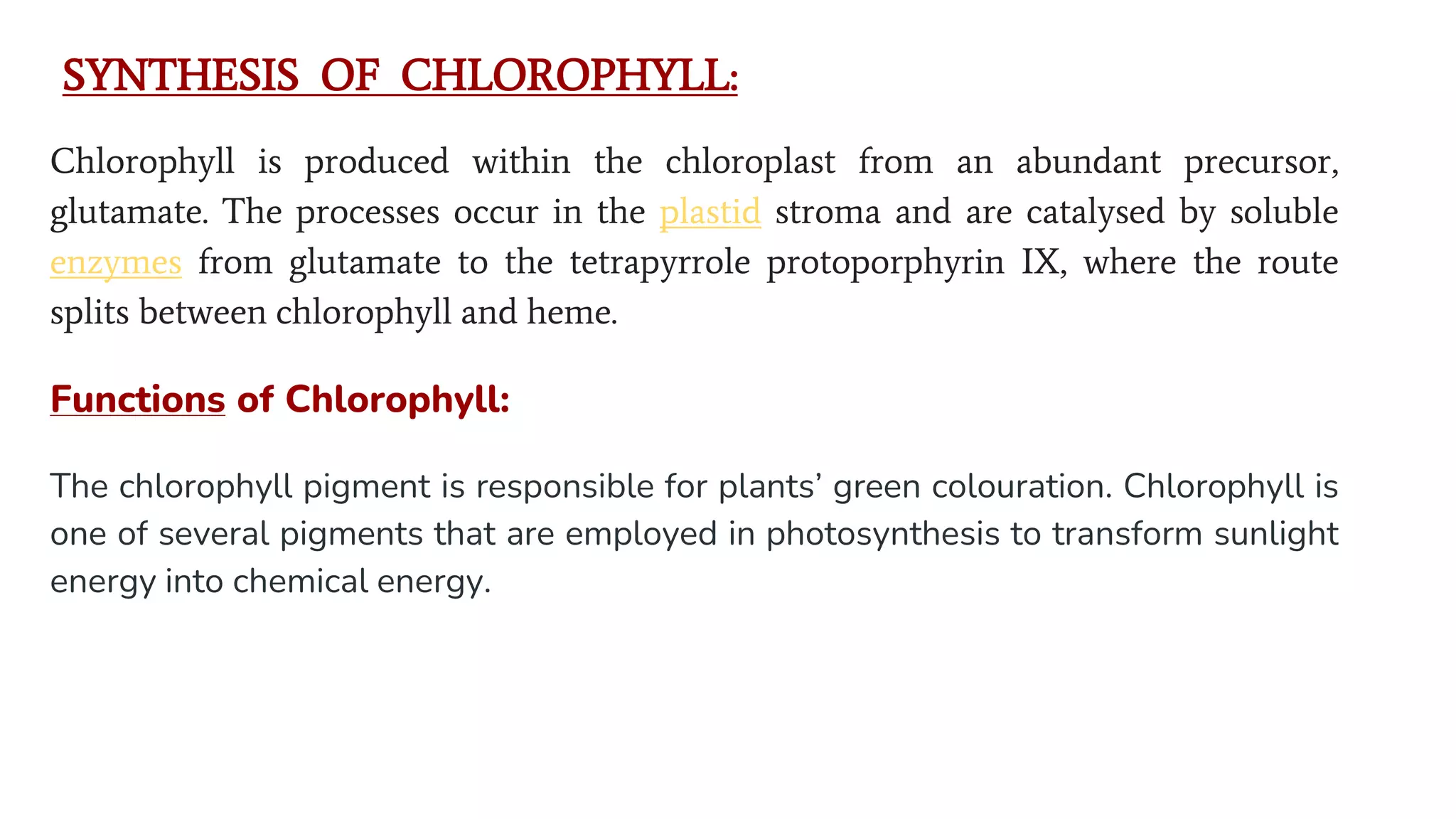 CHLOROPHYLL PIGMENT (1).pptx